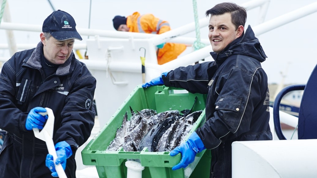 Spis dansk fisk kampagnen er i gang - FødevareFOKUS