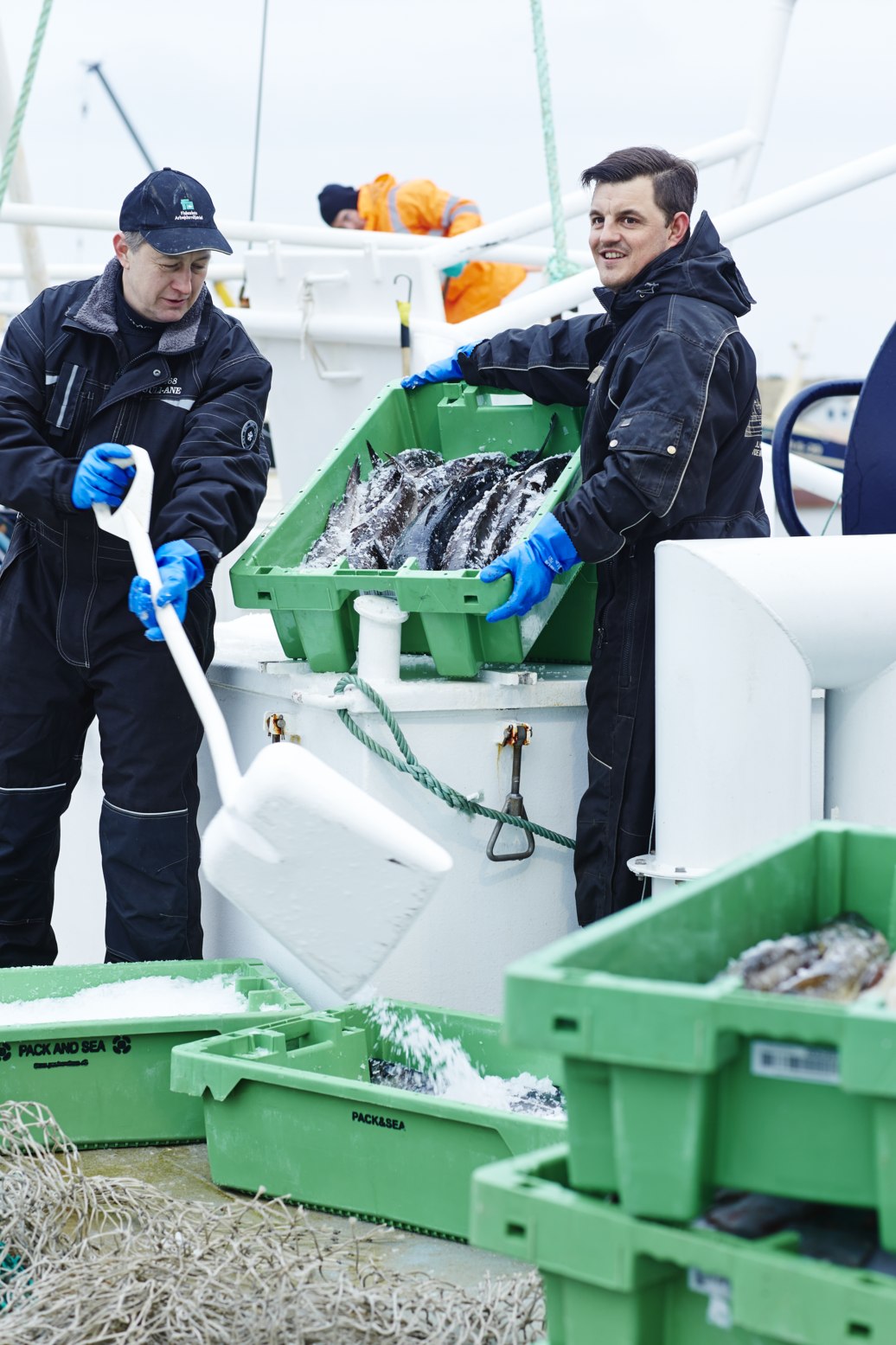 Spis dansk fisk kampagnen er i gang - FødevareFOKUS