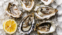 Seafood Festival vender tilbage: Ti dage med fisk og skaldyr i hele ...